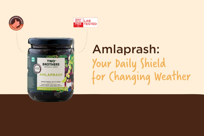 ayurvedic immunity booster
