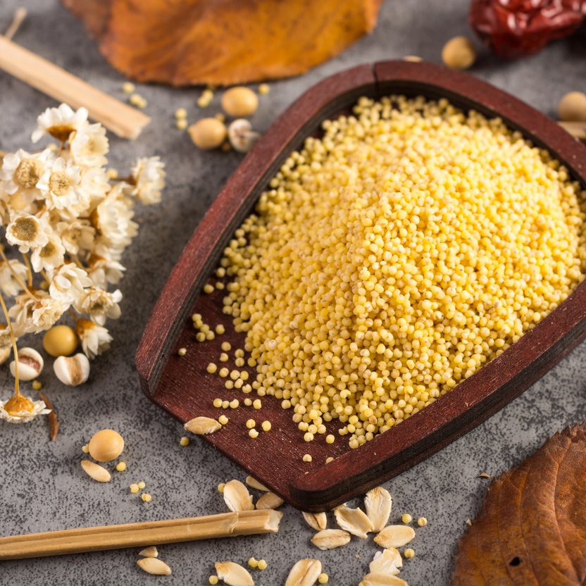 Most Common Types of Dals Every Indian Kitchen Should Have