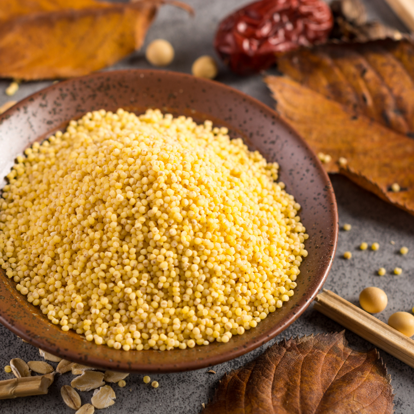 Which Millet Is Good for Weight Loss? - Top 5 Millets You Should Inclu
