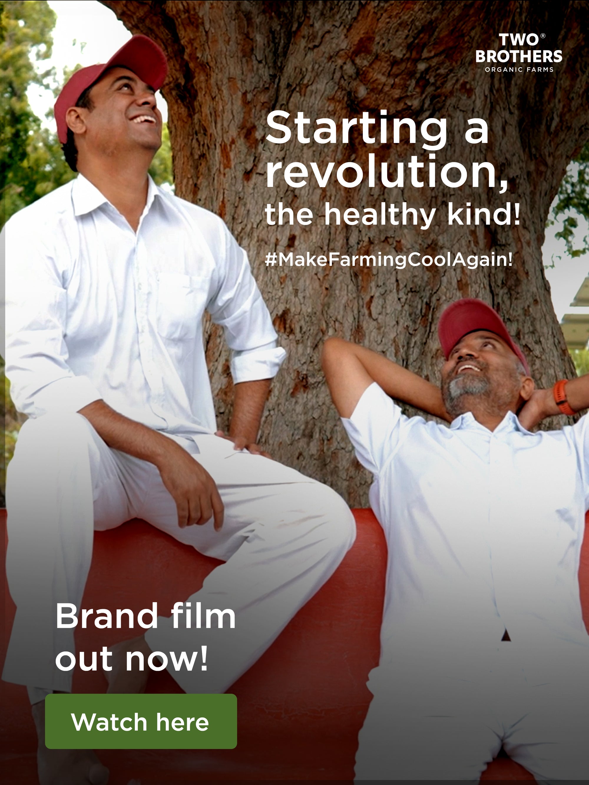 Two Brothers Organic Food Online Store