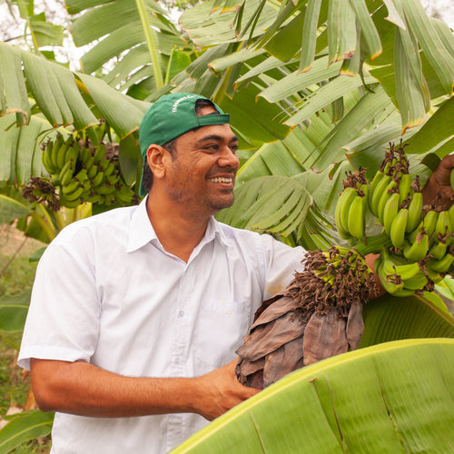 About Two Brothers Organic Farms