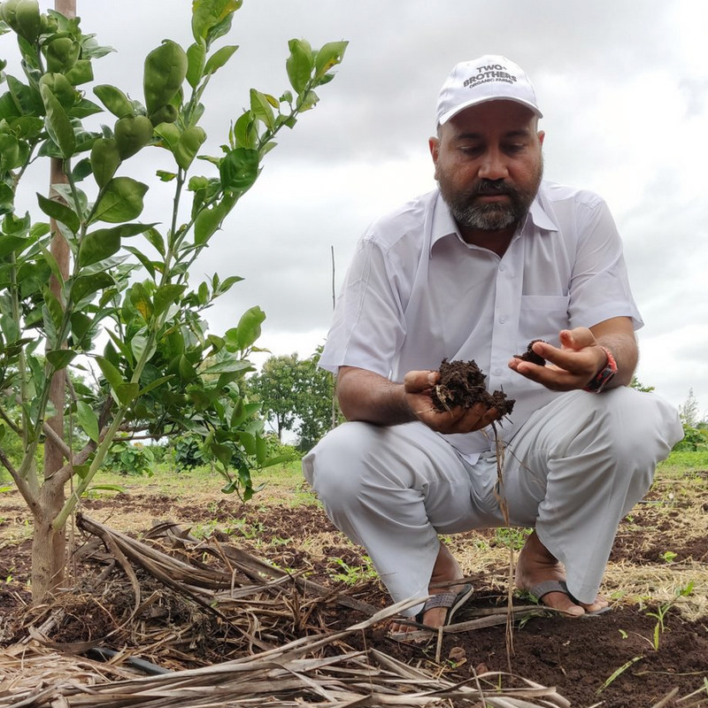 Impact & Recognition | Two Brothers Organic Farm