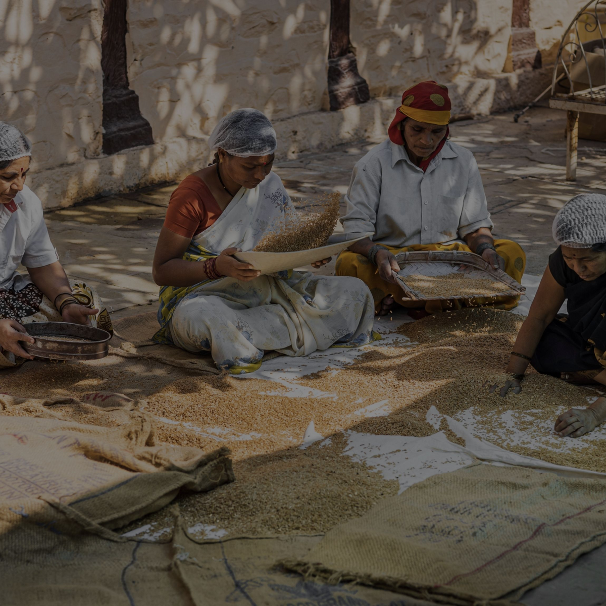 About Two Brothers Organic Farms