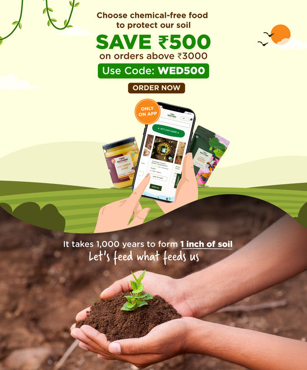 Two Brothers Organic Food Online Store