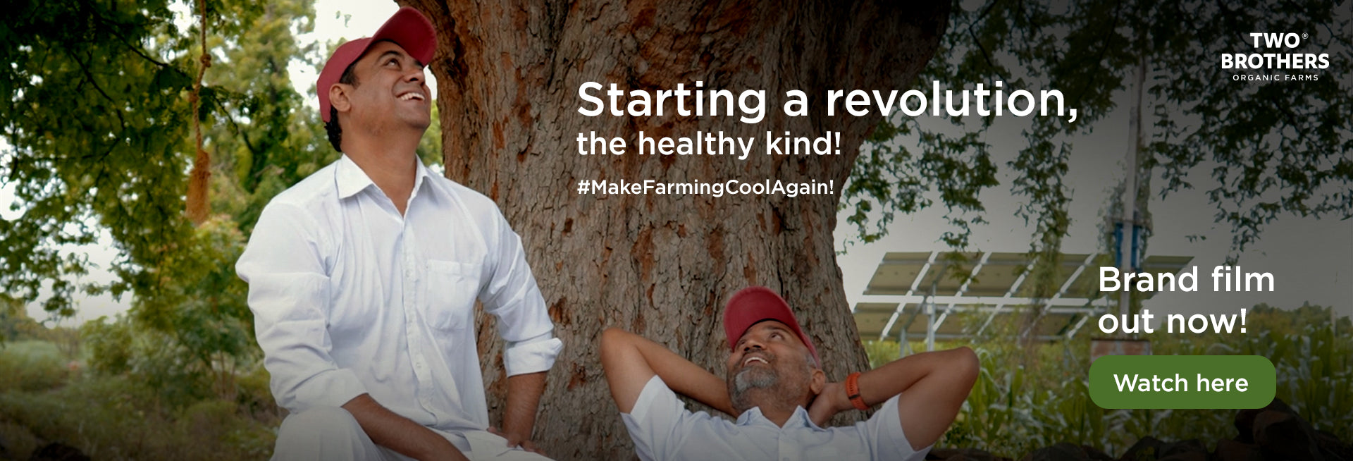 Two Brothers Organic Food Online Store